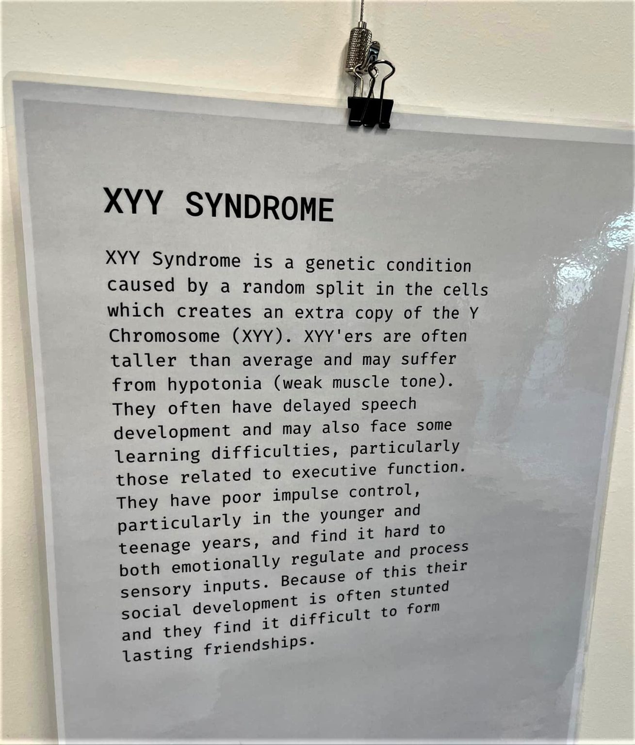 Feb 2023 – Rare Disease Day Exhibit! | XYY Syndrome Association of ...